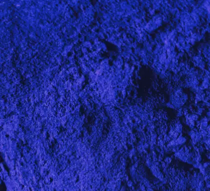 BioInvestment Convention 2025 - BioWin